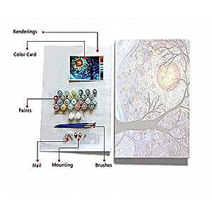 Tucocoo Lady Head Flower Picture Paint by Numbers for Adults Modern Style Oil Paint by Numbers Figure Lady Paint by Numbers for Adults Fashion Acrylic Oil Painting Set Without Frame-16''W x 20‘’H