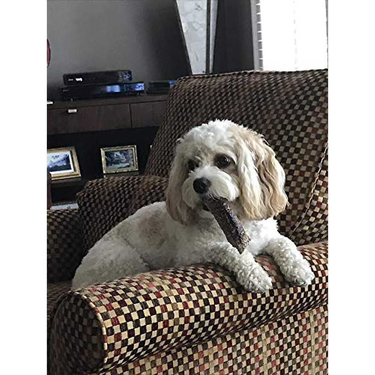 Mountain Dog Chews - Petite Split Elk 6 Pack - Elk Antler Dog Chew - Grade A Premium - Organic - Made in USA - No Mess