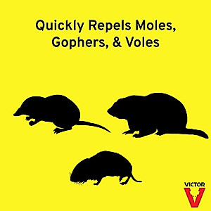 Victor M8002 Mole & Gopher Repellent Yard Spray – 1 Bottle, Yellow
