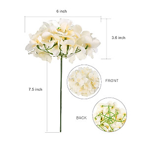 Auihiay 12 Pieces Artificial Hydrangea Flowers Silk Hydrangea Heads with Stems for Wedding Home Garden Party Decoration (Champagne)