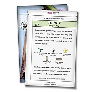 Sow Right Seeds - Root Vegetable Collection for Planting - Individual Packets Beet, Carrot, Kohlrabi, Radish, and Turnip, Non-GMO Heirloom Seeds to Plant an Outdoor Home Vegetable Garden