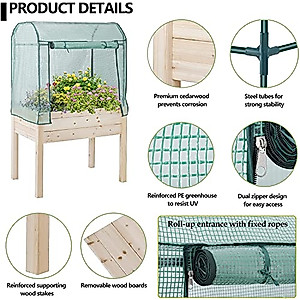 BACKYARD EXPRESSIONS PATIO · HOME · GARDEN 906533 Elevated Gardening Bed with Green House Cover-36L x24W x 66H-Backyard Expressions, Natural Wood