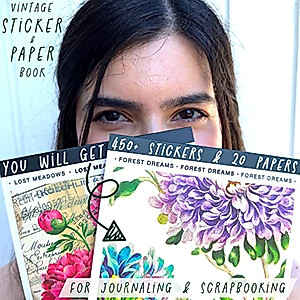 FAYWARE Washi Vintage Stickers for Scrapbooking - Ephemera Sticker Book for Journaling with 453 Botanical Stickers and 20 Scrapbook Papers. Ephemera for Junk Journals, Journaling Supplies for Adults