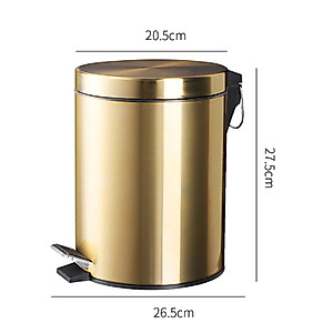 DimyFew Pedal Bin Step Trash Can Slient with Lid and Step Foot Pedal, Slim, Garbage Bin Trash Bin for Home Office Bedroom Living Room