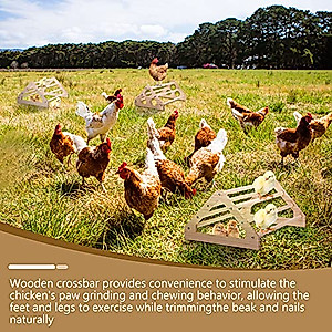 2 Pieces Chicken Perch Hens Handmade Perch Stand Toy Chicken Wood Stand Chicken Toy Wooden Roosting Jungle Chick Gym for Bird Parrot Hens Backyard Baby Chick Supplies