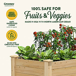 Greenes Fence RCEV2448 Fence Elevated Garden Bed, 48" L x 24" W x 31", Cedar
