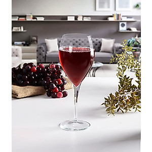 Biandeco Long Stem Wine Glasses Set of 6, 15.38 oz Premium Tempered Thin Rim Glasses for Drinking Red/White Wine, Crystal Clear Lead-Free Sturdy Glass - Made in Europe