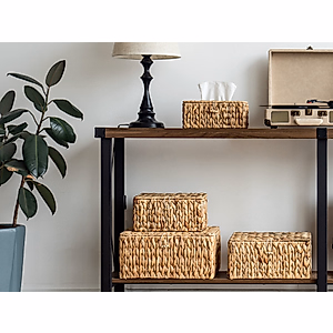 StorageWorks Large Water Hyacinth Baskets for Organizing, Wicker Basket with Lid for Bathroom, Storage Basket with Lid and Built-in Handles, 1 Pack