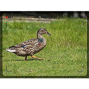 2X Teleconverter Compatible with Canon EOS Rebel T2, T3, T4, T5, T6, T7, T8, T2i, T3i, T4i, T5i, T6i, T7i, T8i