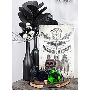 Cornucopia Round Glass Spherical Bottles, Potion Bottles" with Corks (2-Pack, 8-Ounce Capacity); Large Bottles for Costume Props, Decor & DIY Crafts