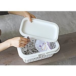 Hachimankasei 234906 Sceltevie Cestino Basket S, RD 5L, Red, S Size: 5L