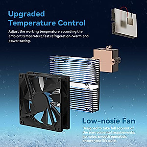 NXONE Mini Fridge,8 Can/6 Liter Small Refrigerator,110VAC/ 12V DC Portable Thermoelectric Cooler and Warmer Freezer Skincare Desk Little Tiny fridge for Cosmetics,Bedroom,Dorm,Office,and Car Green