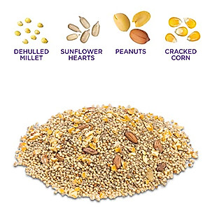 Audubon Park No Waste Blend Wild Bird Food, Premium Shell Free and No Mess Bird Seed for Outside Feeders, 5-Pound Bag
