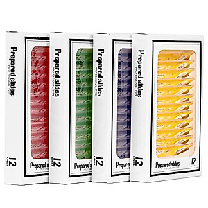 LINKMICRO 48pcs Prepared Plastic Microscopes Slides with 4 Types of Glass Biological Specimen for Kids Students