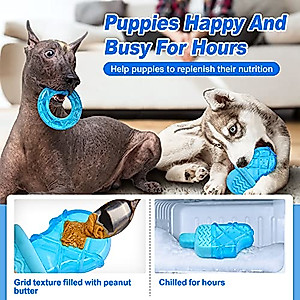 ADDPETS Puppy Toys Frozen 3 Pack for Teething Puppies,Puppy Chew Toys for Teething Relieve Teething Pain Itching, Fillable Puppy Teething Toys,Floating Puppy Chew Toys,Teething Comfort in Summer