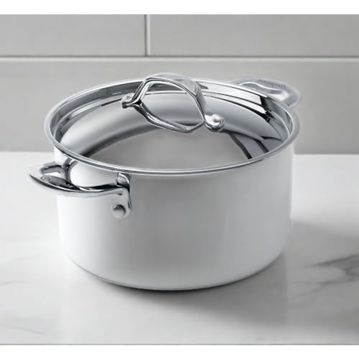 Cuisinox Super Elite Stainless Steel Covered Dutch Oven, 9.5" - 6.2 Quarts