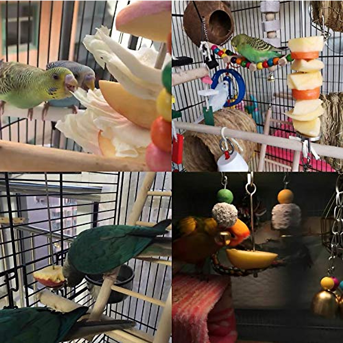 NAPURAL Bird Fruit Vegetable Holder Stainless Steel Vegetable Skewer Hanging Food Feed Tool for Parrot Budgies Parakeet Feeding Fork for Hamsters Chinchillas Rabbits (7.87inches)