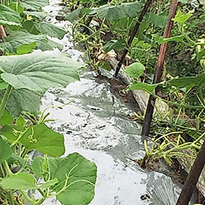 winemana 6 Pack Large High Silver Reflective Mylar Film, 83x 63 in, High Reflectivity, Keep Warm, 100% Environmentally Safe, Perfect for Plant Growth, First Aid, Marathon, Camping, Outdoor Survival