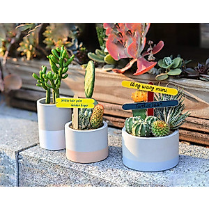 All Natural Wax Applicator Sticks Waxing Wood Body Spa Hair Eyebrow Removal Craft Sticks Applicator Spatula,4 Inch,200 Pieces.