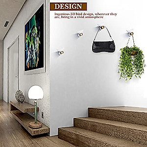 MITLOXX Decorative Wall Hooks, Bird Hooks Wall Mounted, Plastic Bird & Wooden Peg, Decorative Hooks for Hanging Things-Coat, Towel, Hat etc. Pack of 2, (Green)