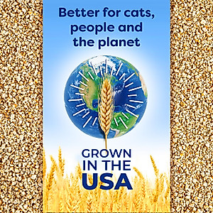 sWheat Scoop Natural Wheat Multi-Cat Litter, Superior Clumping with Odor Neutralizing Enzymes, 25 Pound Bag