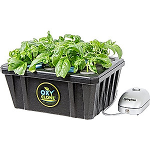 Oxyclone OX20SYS 20 Site, Compact Recirculating Cloning Propagation System, Heavy Yields