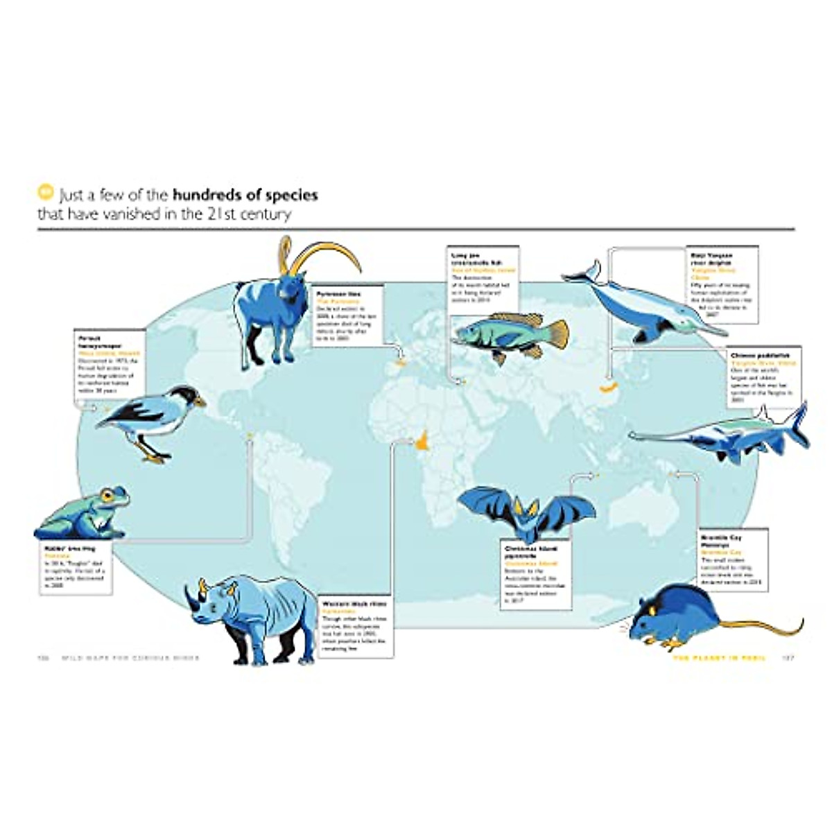 Wild Maps for Curious Minds: 100 New Ways to See the Natural World