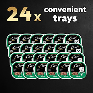 CESAR Soft Wet Dog Food Filets in Gravy Turkey Recipe, (24) 3.5 oz. Easy Peel Trays