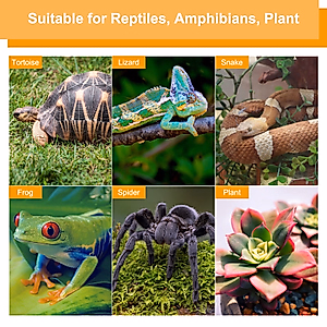 Catcan 50W Reptile Heat Lamps, UVA UVB Reptile Light with 2 Heat Bulbs, 360°Rotatable Clips Adjustable Switch Heat Lamp for Turtle Lizard Snake Aquarium Amphibian Yellow Light