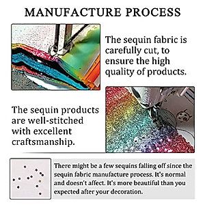 Sequin Curtains 2 Panels Purple 2FTx8FT Sequin Photo Backdrop Royal Purple Sequin Backdrop Curtain Pack of 2-1011E