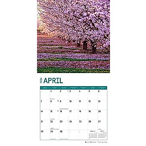 2024 Seasons Monthly Wall Calendar by Bright Day, 12 x 12 Inch Spring Summer Autumn Winter