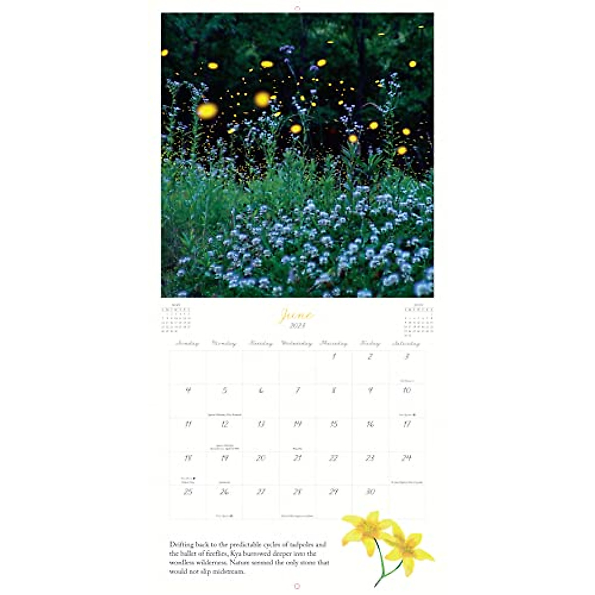 Where the Crawdads Sing Wall Calendar 2023