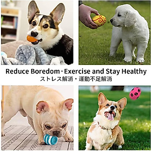 SCHITEC Dog Squeaky Toy, 6 PCS Latex Bouncy Egg Balls with Squeaker for Puppy Small Pet Dogs, Soft Rubber Sound Toys for Interactive Fetch Play