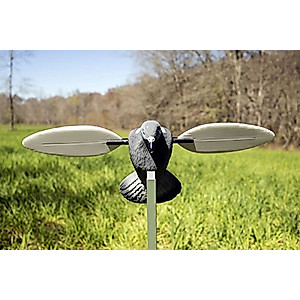 MOJO Outdoors Pigeon Decoy, Small 51-55cm,Multi,One Size,HW2410