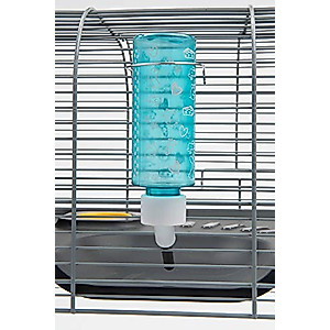 Lixit Critter Bright Water Bottles for Hamsters, Rabbits, Chinchillas, Ferrets, Guinea Pigs and Other Small Animals (4 Ounce, Assorted Colors Pack of 1)