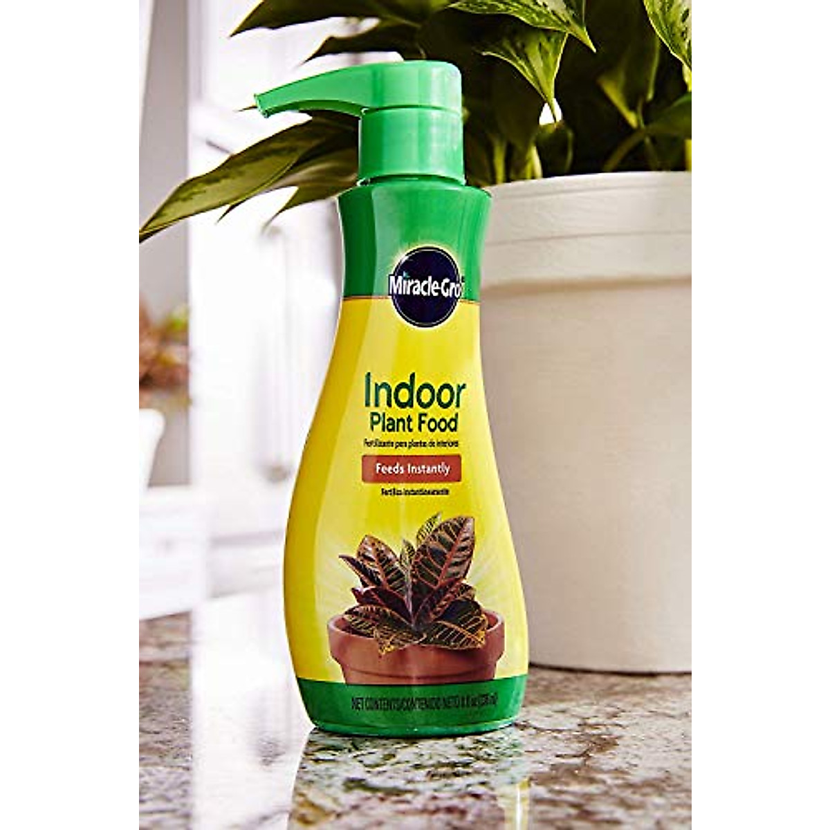 Miracle-Gro 100055 Indoor Plant Food, (3)