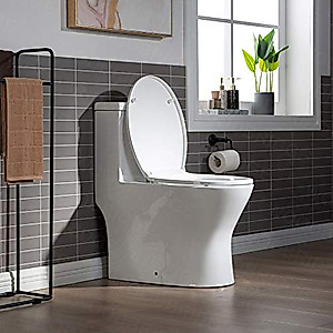WOODBRIDGE Short Compact Tiny Dual Flush 1.28 GP One Piece Toilet,with Soft Closing Seat,1000 Gram MaP Flushing Score Small Toilet with Brushed Nickel Button B0500-BN, White