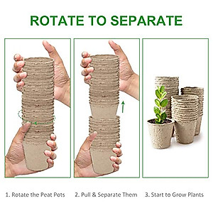 GROWNEER 60 Packs 2.4 Inch Peat Pots Plant Starters for Seedling with 25 Pcs Plant Labels, Biodegradable Herb Seed Starter Pots Kits, Garden Germination Nursery Pot