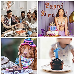 3inch Birthday Number Candle, 3D Candle Cake Topper with Crown Cake Numeral Candles Number Candles for Birthday Anniversary Parties (Blue, 1)