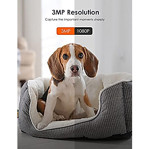 BabyTime Pet Camera, Indoor 2K 360° Wi-Fi Smart Camera with Night Vision, Motion Detection, Two-Way Audio, Compatible with Alex