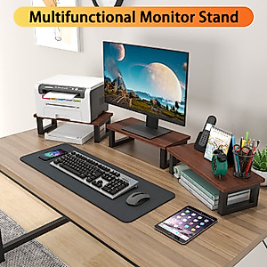 WESTREE Monitor Stand Riser, Desktop Computer Monitor Stand, Multi-Purpose Desk Storage Organizer Shelf for Laptop Computer PC