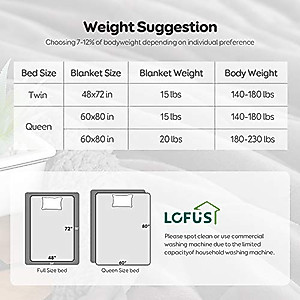 Lofus Sherpa Fleece Weighted Blanket 20 lbs Heavy Blanket with Soft Plush Flannel Reversible Full-Size Super Soft Extra Warm Cozy Fluffy Blanket 60 x 80 inches for Adult Bed Couch, Grey