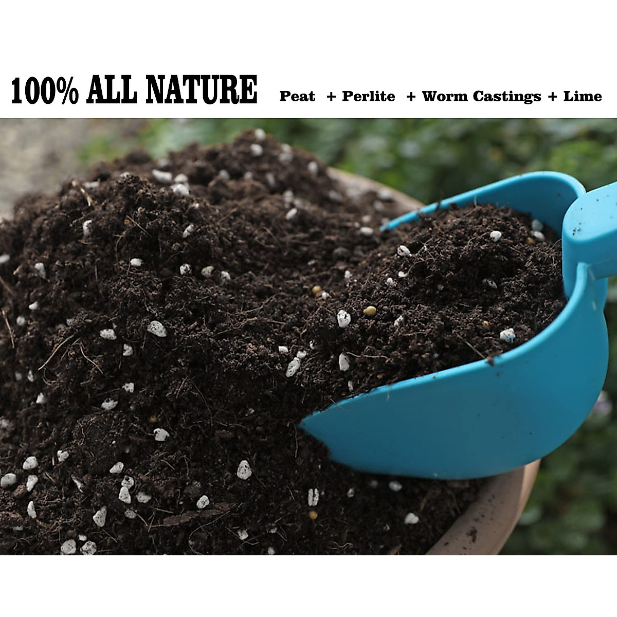 Doter Houseplant Potting Mix, Fertilized, Perlite Soil for All Types of Indoor House Plants and Tropical Plant 1 qt