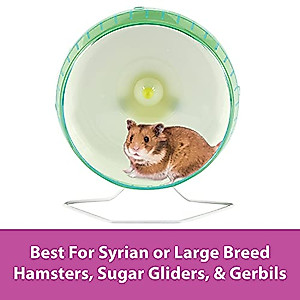 Kaytee Silent Spinner Wheel For Pet Syrian or Large Breed Hamsters, Sugar Gliders and Gerbils, Large 10 Inch