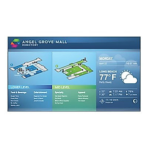 SAMSUNG UD55C 55" LED Display
