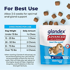 Glandex Anal Gland Hygienic Pet Wipes 100 Ct Advanced Vet-Strength Chews 30 Ct Bundle Dog Cleaning Wipes with Fresh Scent, Vet-Strength Anal Gland Supplement for Dogs with Extra Fiber