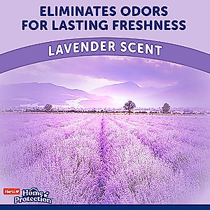Hartz Home Protection Odor Eliminating Scented Dog Pads, Super Absorbent & Won’t Leak, Lavender Scent, Regular Size, 50 Count