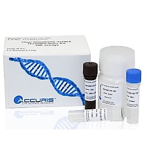 Accuris DNA Quantification Broad Range dsDNA Assay Kit