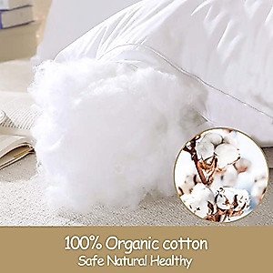 Toddler Pillow with Pillowcase | 13 x 18 Soft Hypoallergenic 100% Organic Cotton Baby Pillows for Sleeping | Small Kids Pillow, Infant - Perfect for Travel, Cribs Bed Sets, Machine Washable