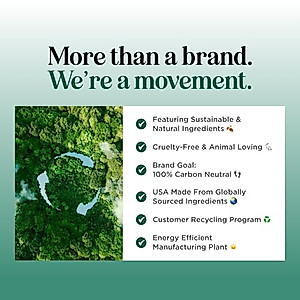 Purifying Rosemary Shampoo Sulfate Free - Lavender Rosemary and Tea Tree Shampoo for Thinning Hair and Scalp Care - Paraben and Sulfate Free Clarifying Shampoo for Build Up with Essential Oils